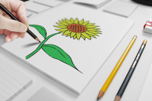 Si të vizatojmë një lule dielli - Si Ta Bejm